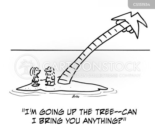 Up A Tree Cartoons and Comics - funny pictures from CartoonStock