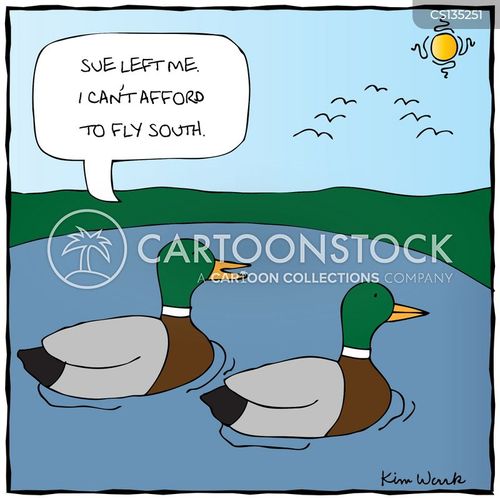 Migration Pattern Cartoons and Comics - funny pictures from CartoonStock