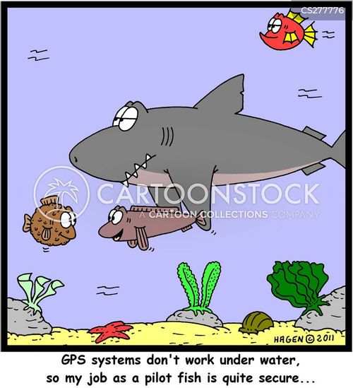 Pilot Fishes Cartoons and Comics - funny pictures from CartoonStock