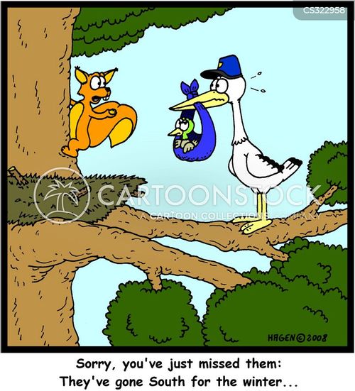 Down South Cartoons and Comics - funny pictures from CartoonStock