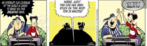 Local News Report Cartoons and Comics - funny pictures from CartoonStock