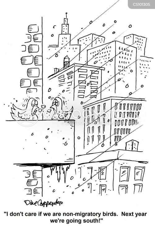 Migrate Cartoons and Comics - funny pictures from CartoonStock