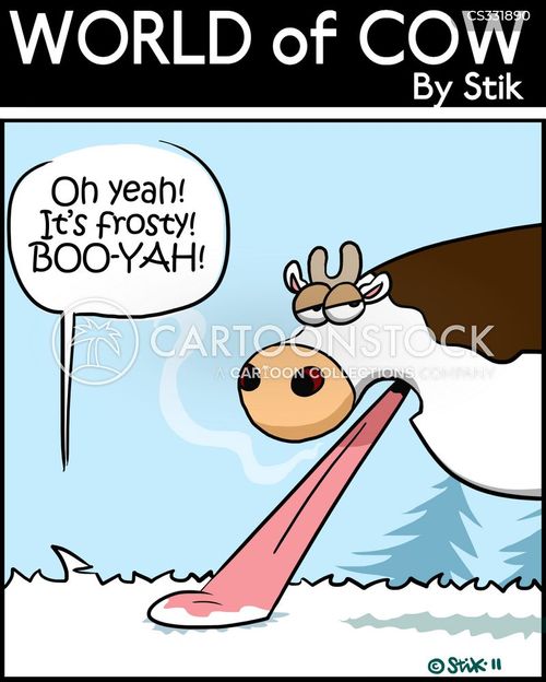 Cow Cows Cartoons and Comics - funny pictures from CartoonStock