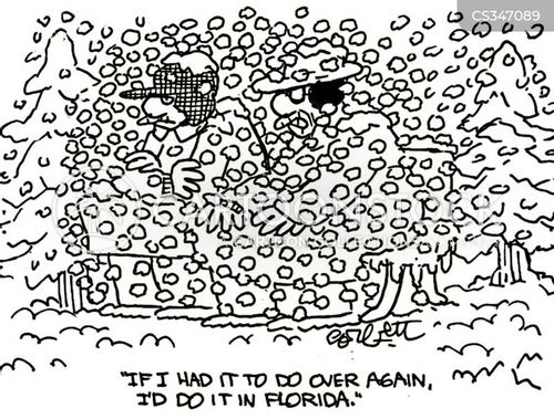 Hail Cartoons and Comics - funny pictures from CartoonStock