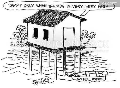 Wet Basement Cartoons and Comics - funny pictures from CartoonStock