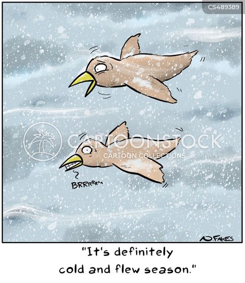 Bird Migration Cartoons and Comics - funny pictures from CartoonStock