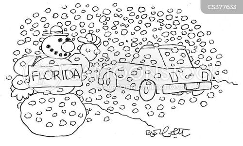 Florida Cartoons and Comics - funny pictures from CartoonStock