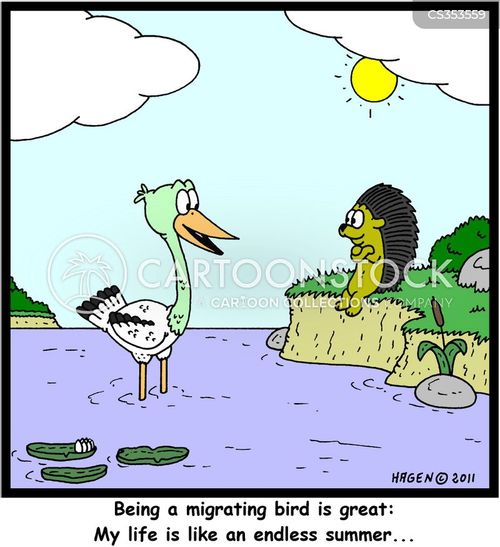 Migration Cartoons and Comics - funny pictures from CartoonStock
