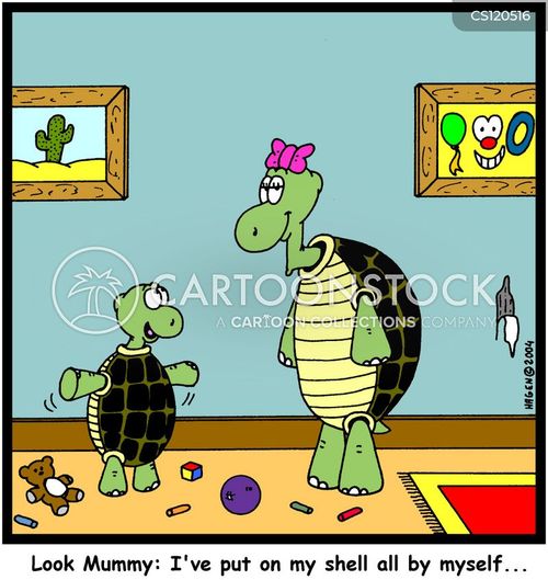 Tortoise's Shell Cartoons and Comics - funny pictures from CartoonStock