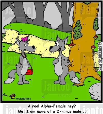 alpha male cartoons - Humor from Jantoo Cartoons