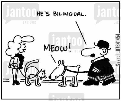 bilingual cartoons - Humor from Jantoo Cartoons