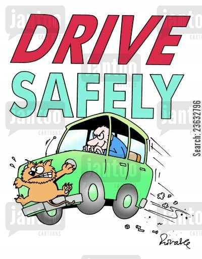 road safety cartoons - Humor from Jantoo Cartoons