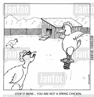 spring chicken cartoons - Humor from Jantoo Cartoons