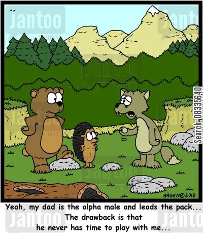 alpha male cartoons - Humor from Jantoo Cartoons