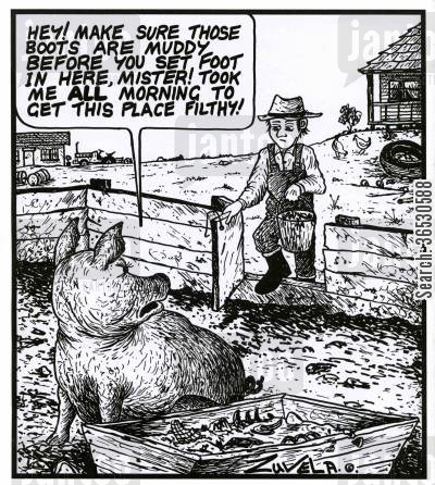 pig sty cartoons - Humor from Jantoo Cartoons
