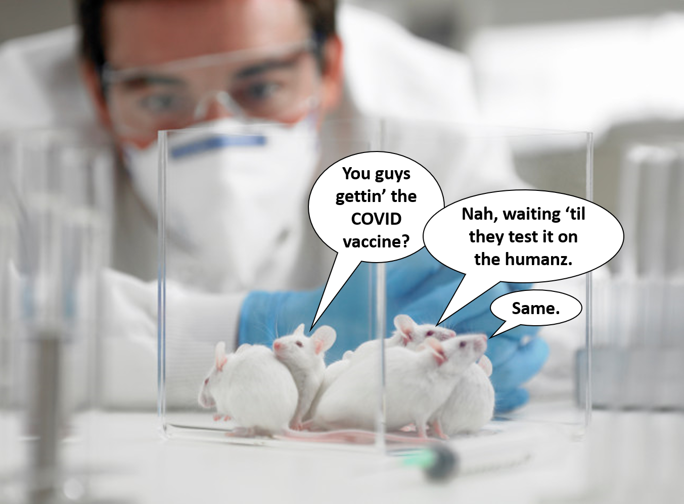 Rat Wisdom on Vaccines - LRC Blog
