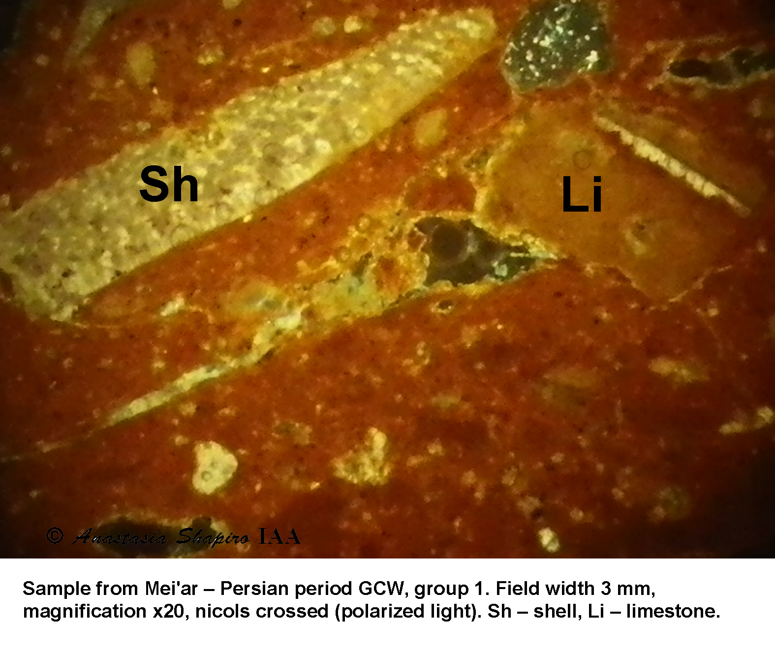 The Levantine Ceramics Project