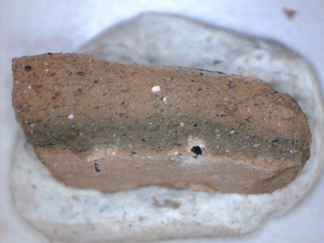 Israel/Northern Coastal Plain/calcareous/biogenic sand | The Levantine ...