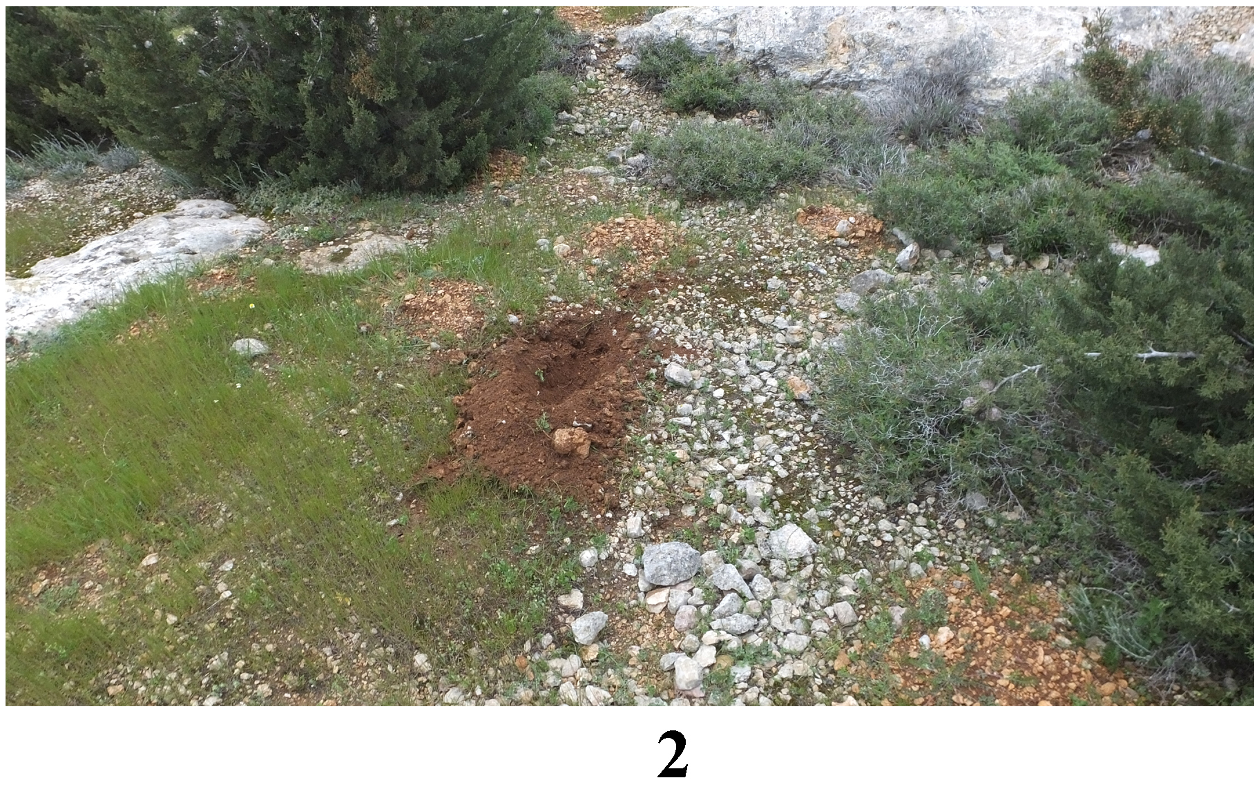 Israel/Jordan/Lebanon/Highlands/ferruginous clay/calcareous sand quartz ...