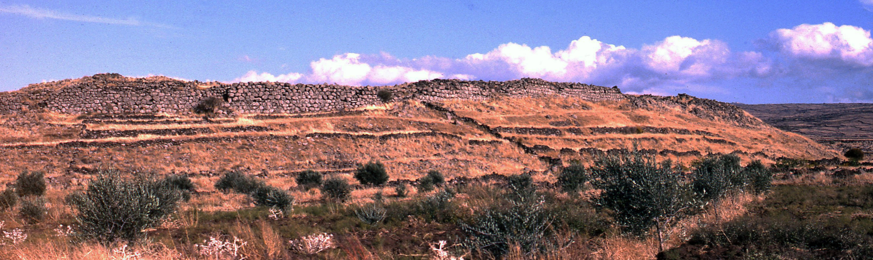 Tall al-Dabba, Tell Debbeh | The Levantine Ceramics Project