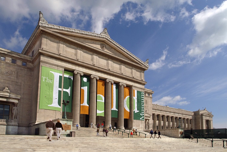 Field Museum - Embark on a Journey of Discovery | StyleChicago.com
