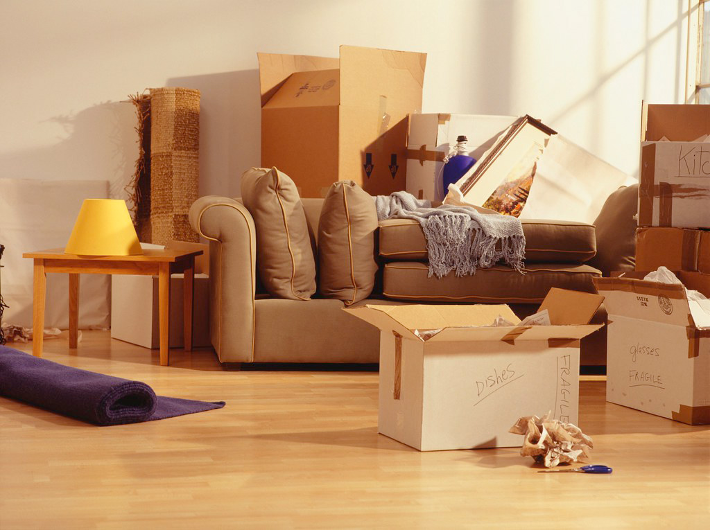 10 Things You ll Forget To Buy For Your First Apartment