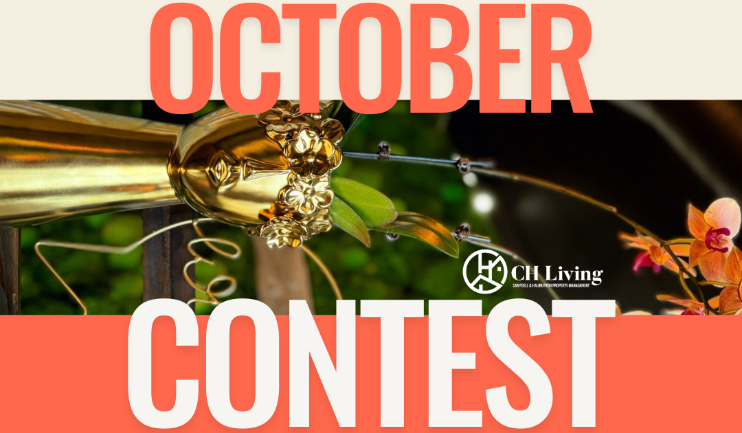 October Contest - Rooted Living Designs