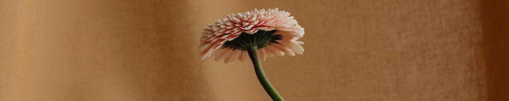 Tailored Rentals at Yorkdale | Sloane