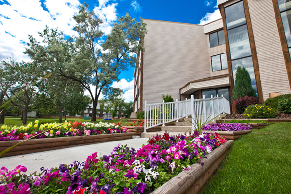 Callingwood South neighbourhood guide: Fun, food, and shopping | Kelson ...