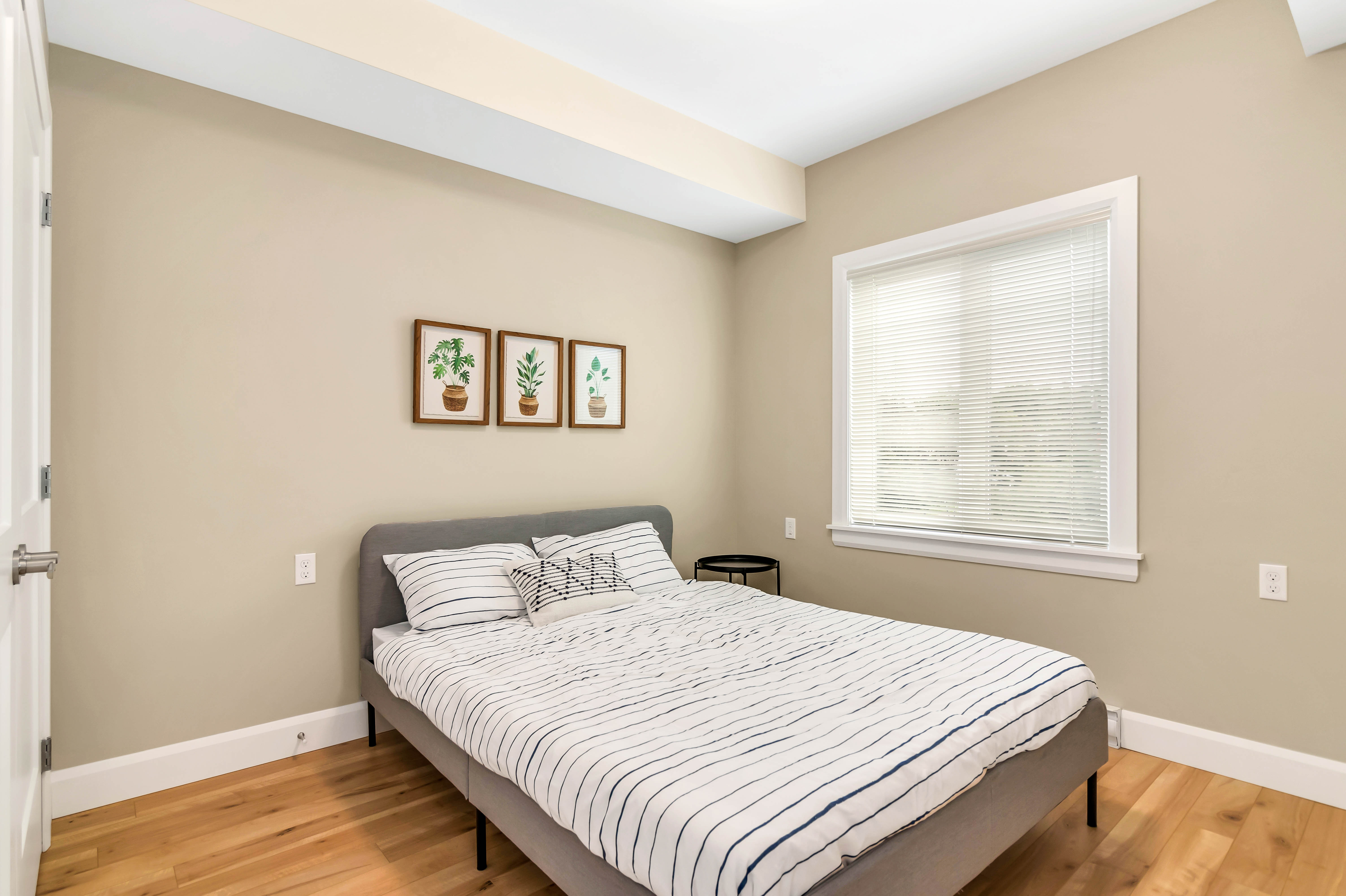 North Point Estates | MU Property Management