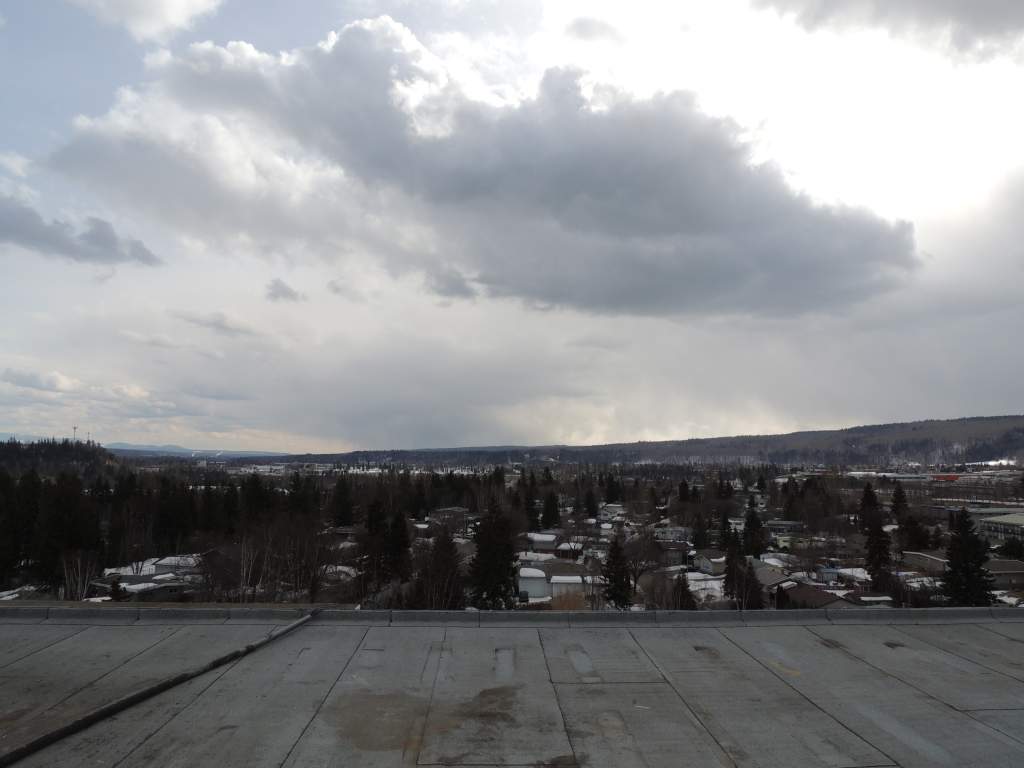 Cedar Tower | 2905 15 Avenue | Prince George Apartments | Rent ...