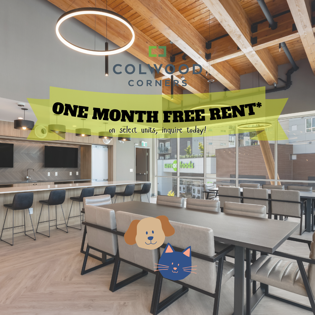 Rentals.ca Colwood Apartments, Condos and Houses For Rent