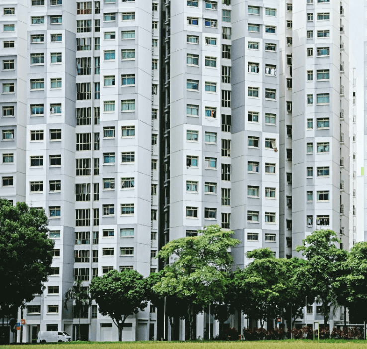 Find your new home | Trifecta