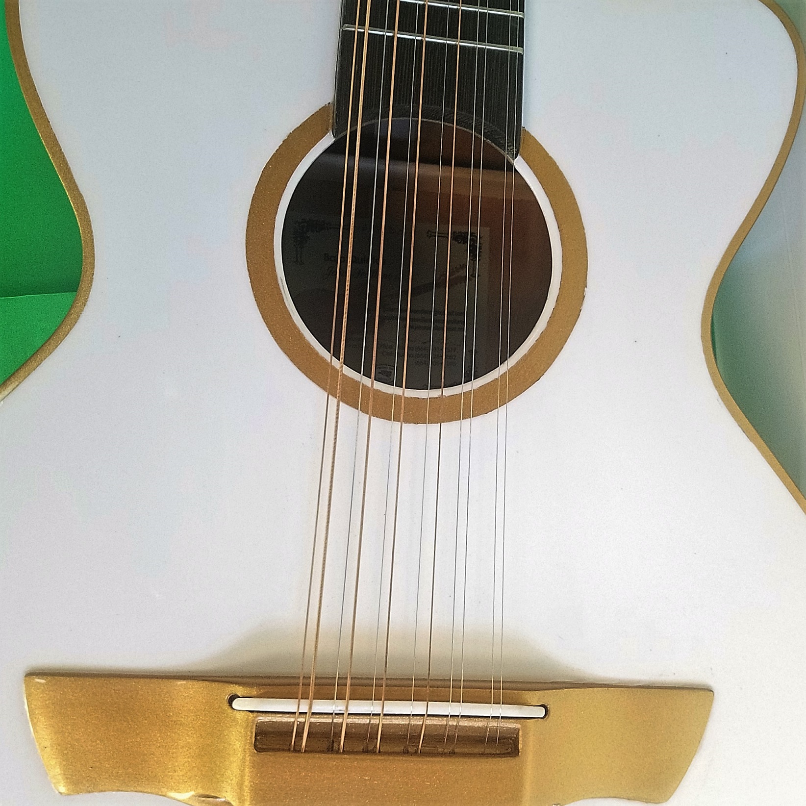 New 12 String Acoustic Electric Requinto Guitar Black