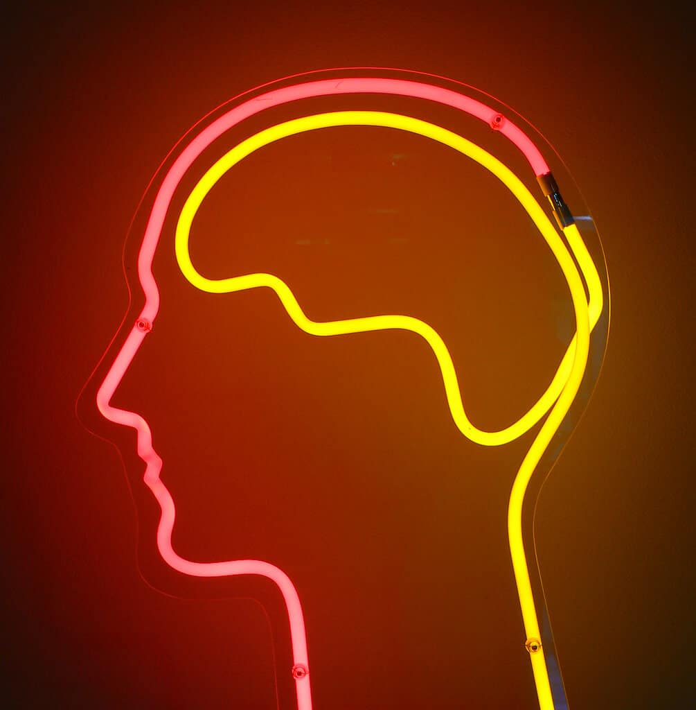 Teaching Your Student With Autism Spectrum Disorder Magoosh Blog Teaching Your Student With Autism Spectrum Disorder Magoosh Blog