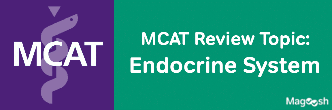MCAT Review Topic: Endocrine System - Magoosh MCAT Blog