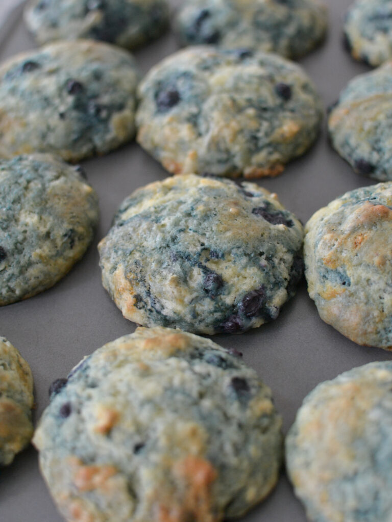 Wild Blueberry Muffins – Marc Eats
