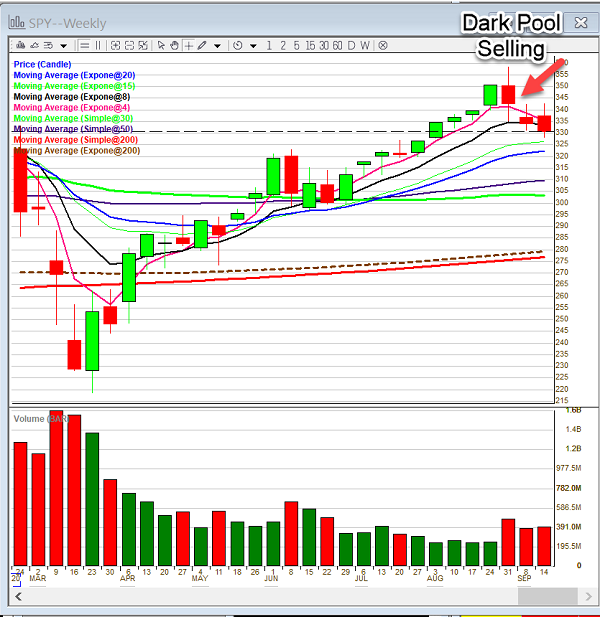 Dark Pool Trader Weekly Review: How I Saw the SoftBank Rally Coming