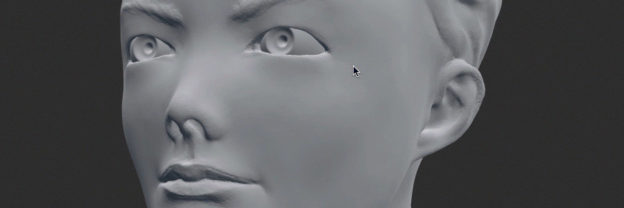 Everything You Need To Know About Retopology Retopoflow