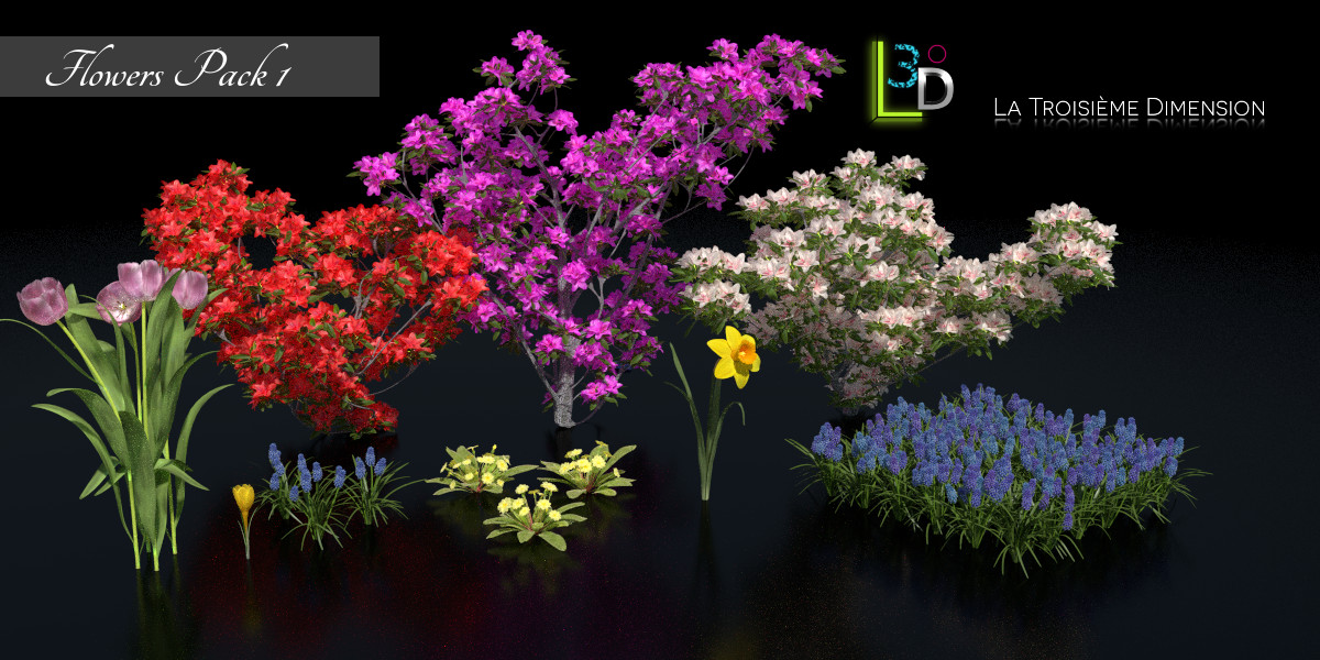 Flowers Pack 1 - Blender Market