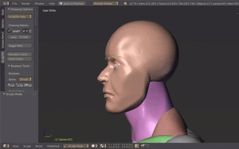 Sculpting Blender