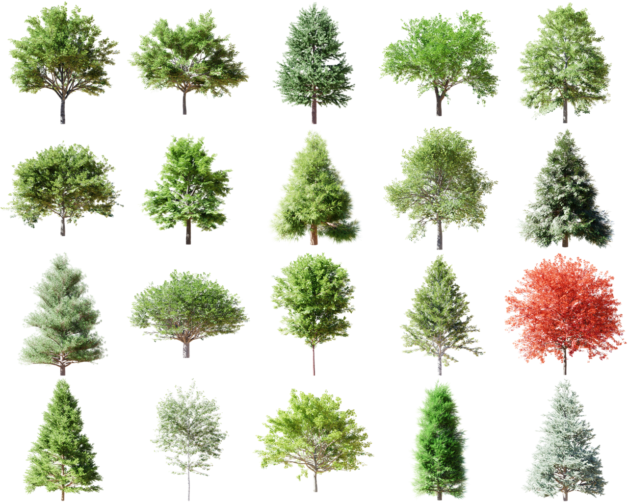 Antibiotiques Courageux Man uvre Free Tree Models Blender Tout Moment antibiotiques-courageux-man-uvre-free-tree-models-blender-tout-moment