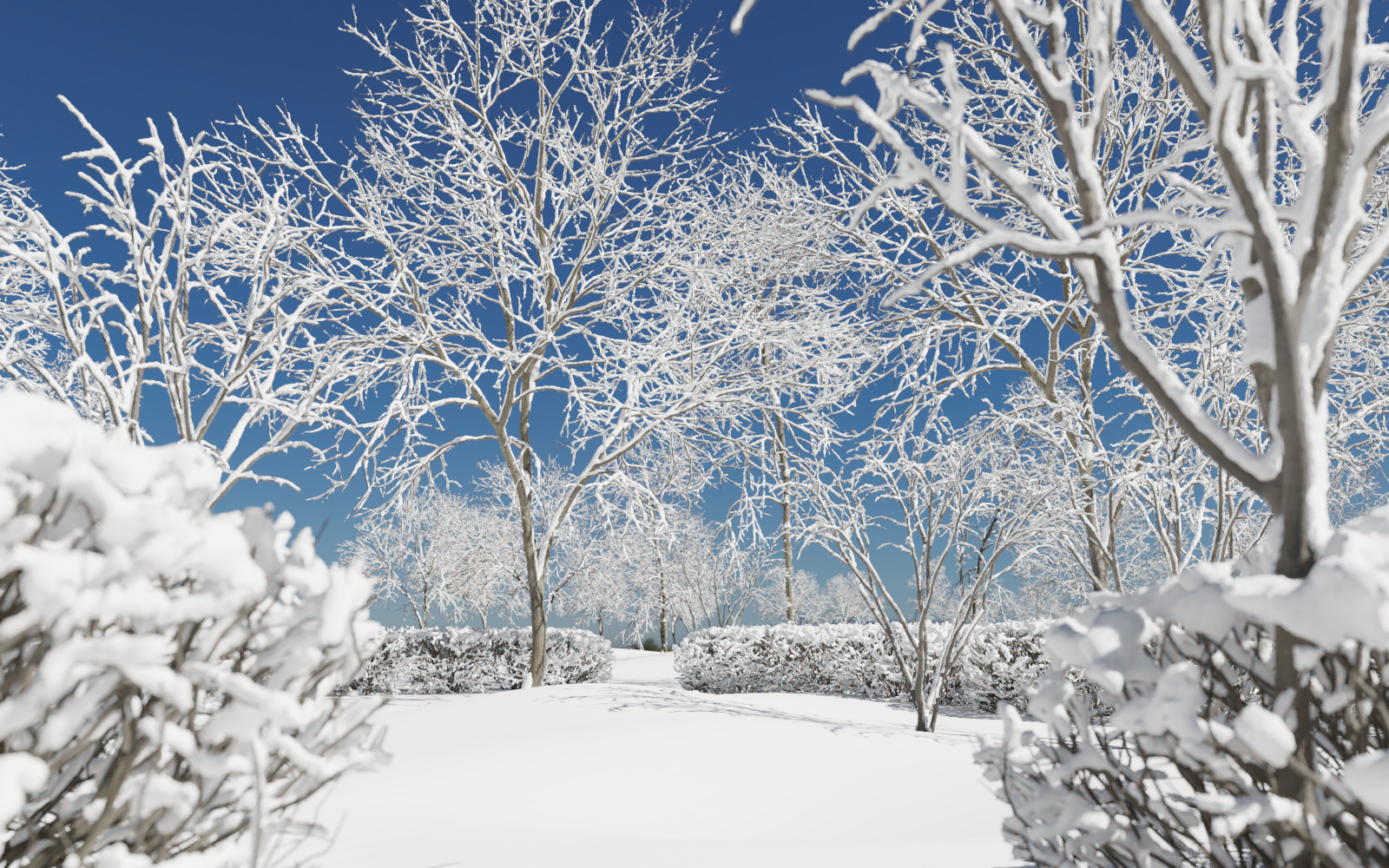 Winter trees Painting Acrylic etna.com.pe