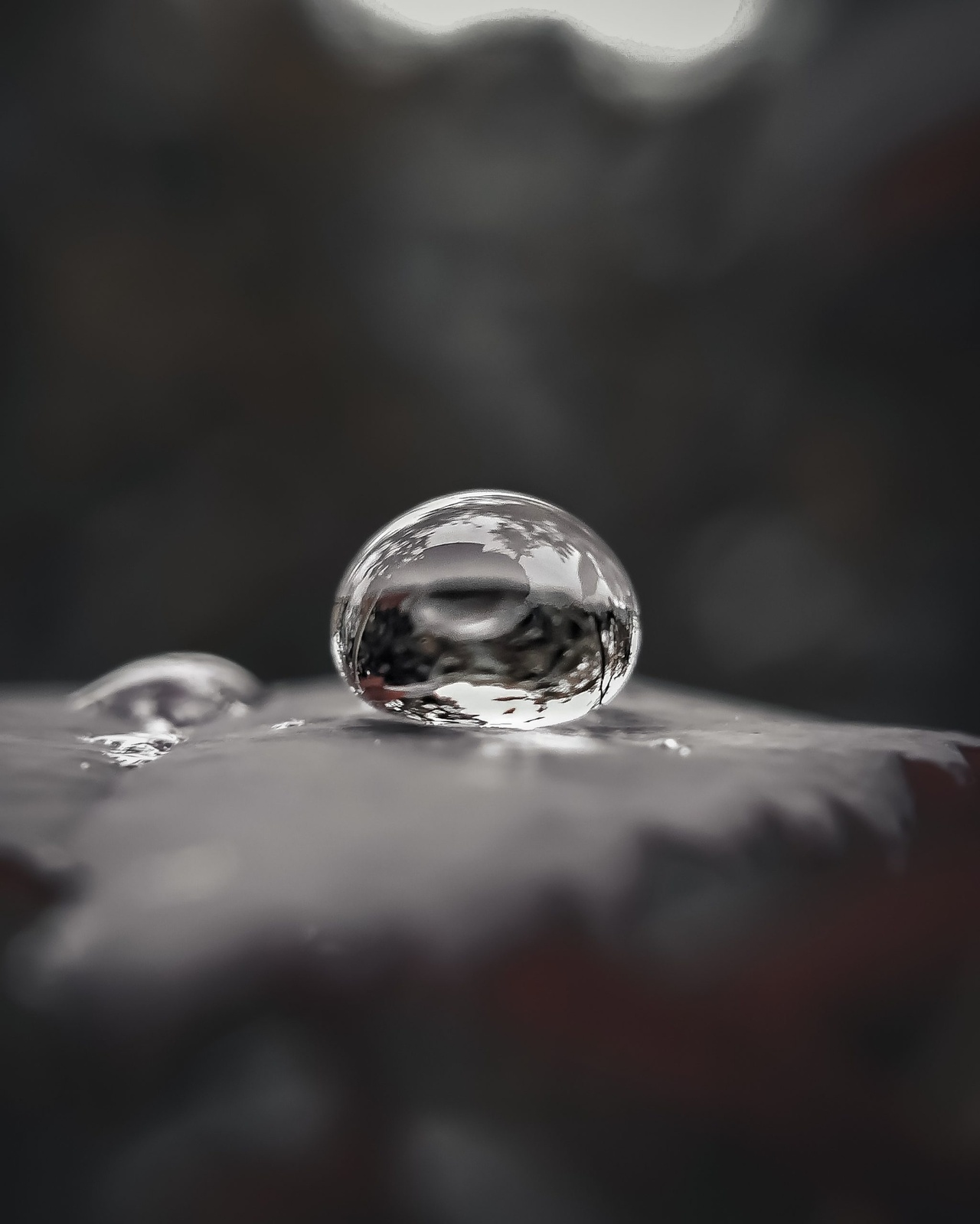 Glass Tears