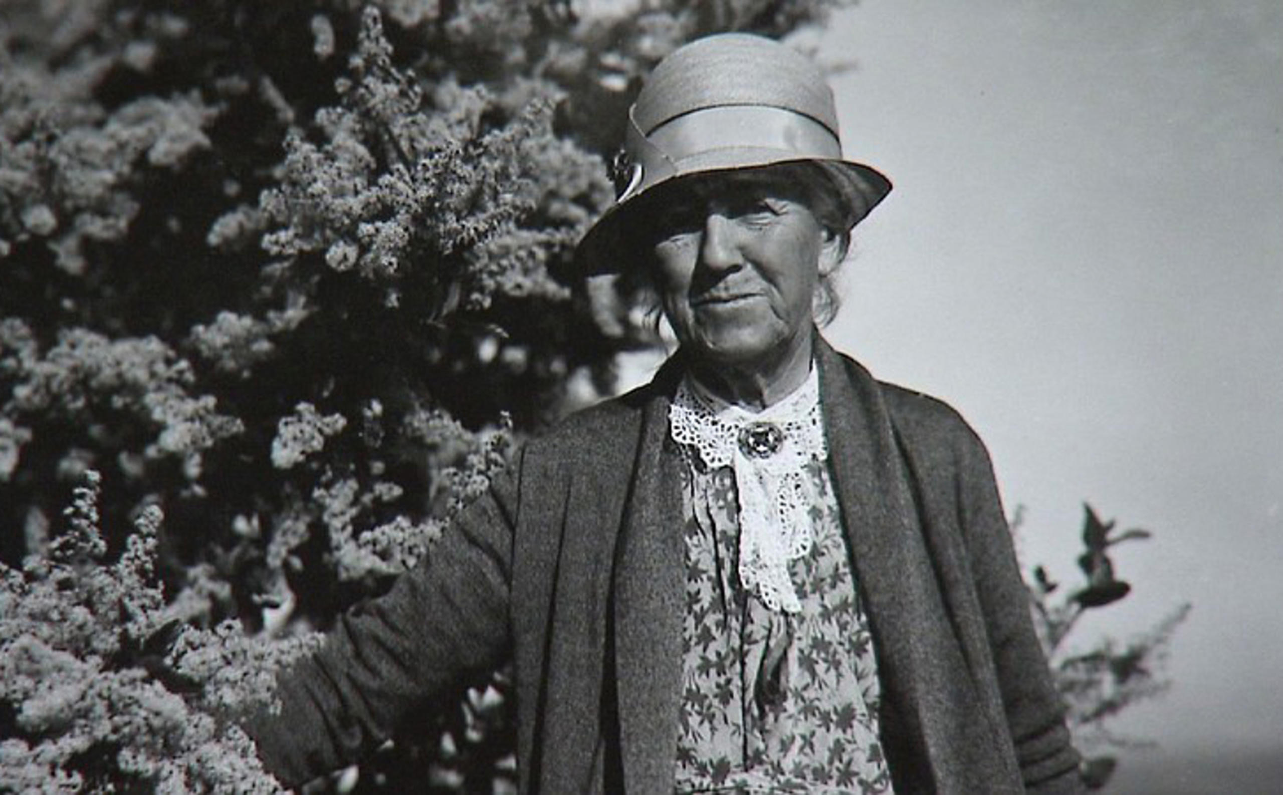 Kate Sessions: The woman who turned San Diego green | California Sun