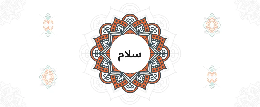 A Closer Look at the Sindhi Language