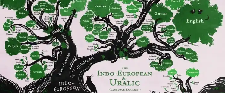 How Language Trees Teach Us about Our Heritage and History