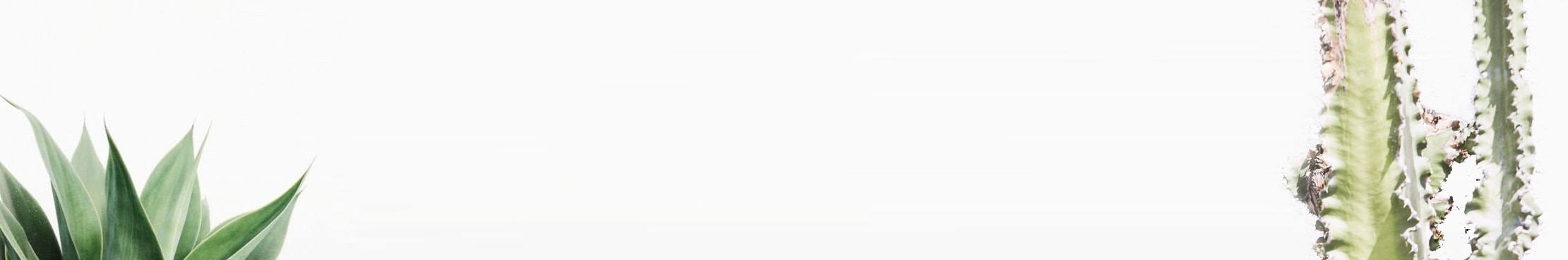 Michael Stars | Modern Luxury Tees Dresses Sweaters | Michael Stars