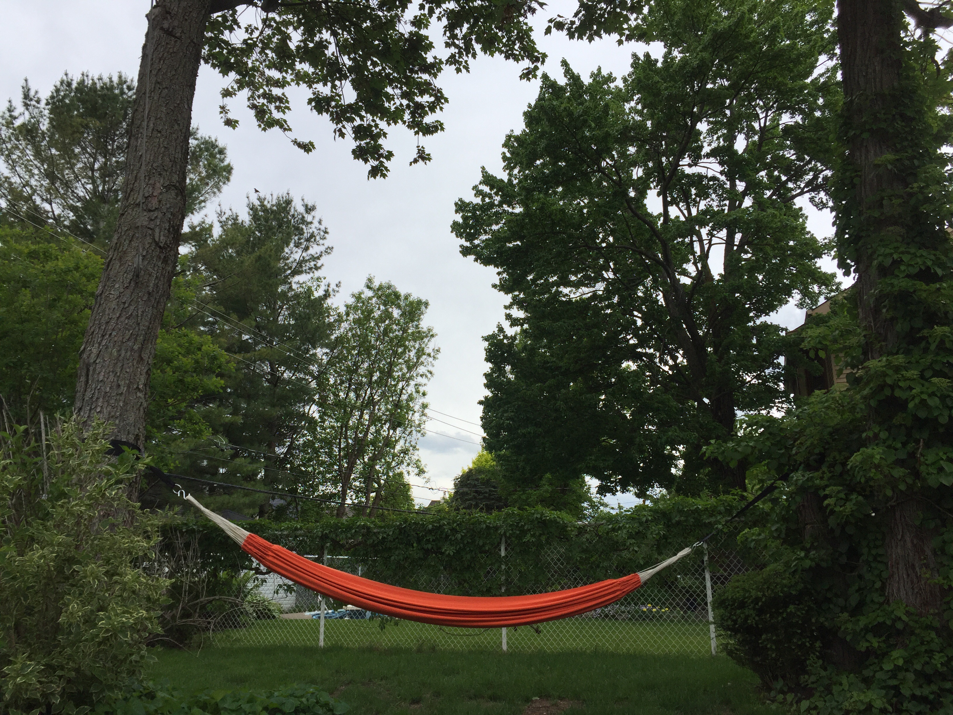 Sangles écologiques pour arbres - Acheter en Ligne - Hamac Univers