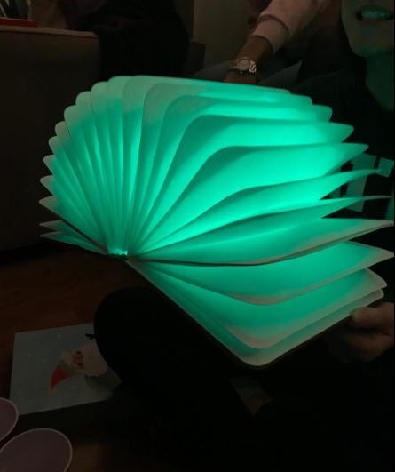 Creative LED book light – Envogue Brands